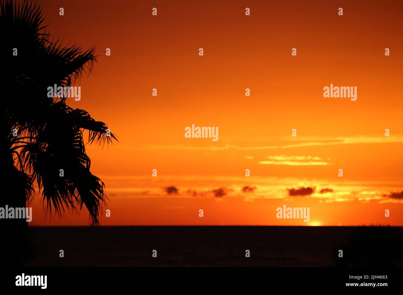 Florida sunset sky hi-res stock photography and images - Alamy