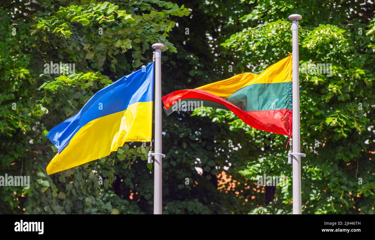 Flag of vilnius hi-res stock photography and images - Alamy