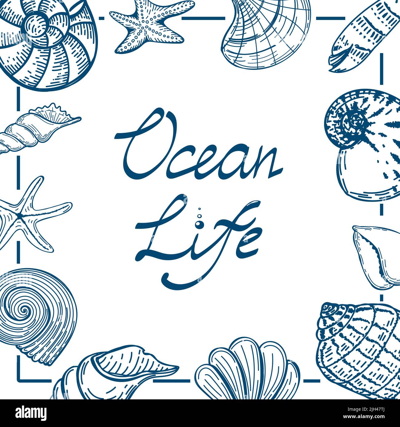 A banner template in a nautical style. Hand-drawn seashells and ...