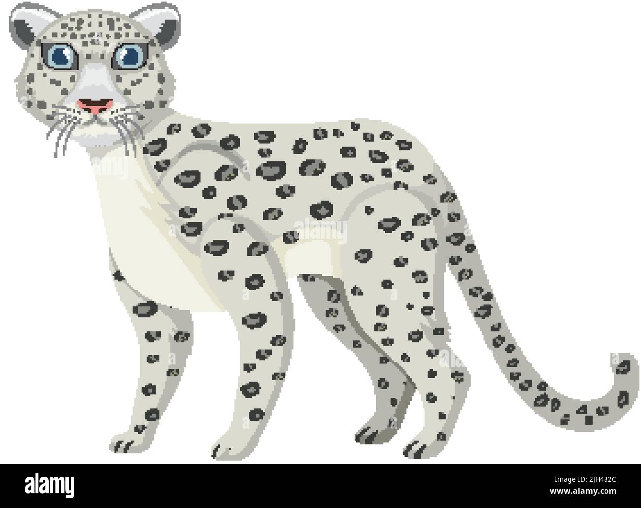 Snow leopard isolated on white background illustration Stock Vector ...