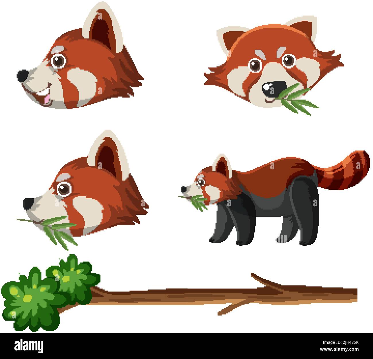 Set of cute red pandas cartoon illustration Stock Vector Image & Art ...