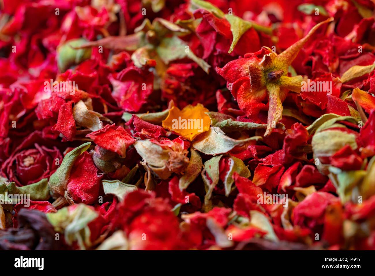 Macro close up background texture of dry rose petals Stock Photo - Alamy