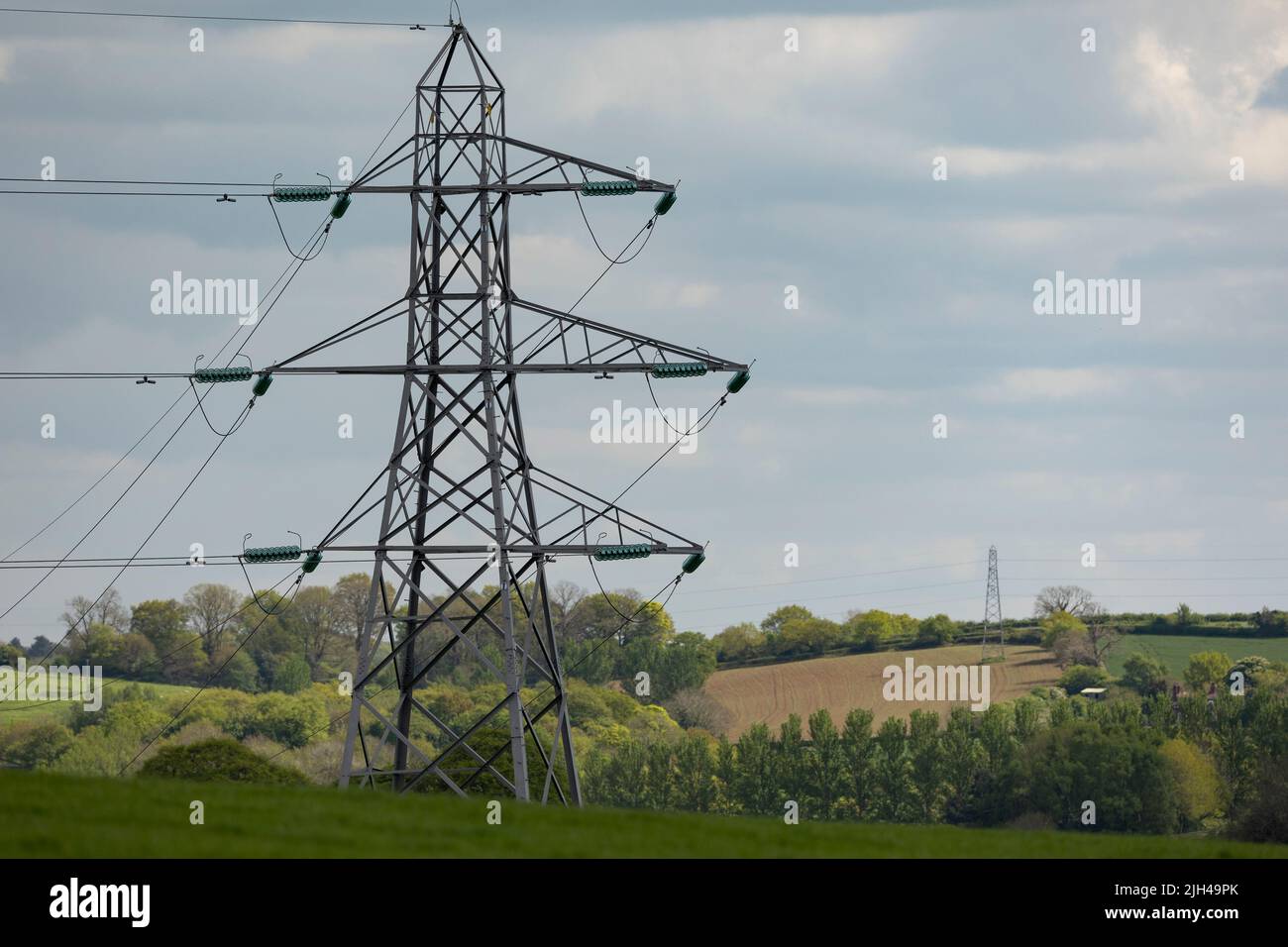 Electricity pylons going into the distance over summertime countryside ...