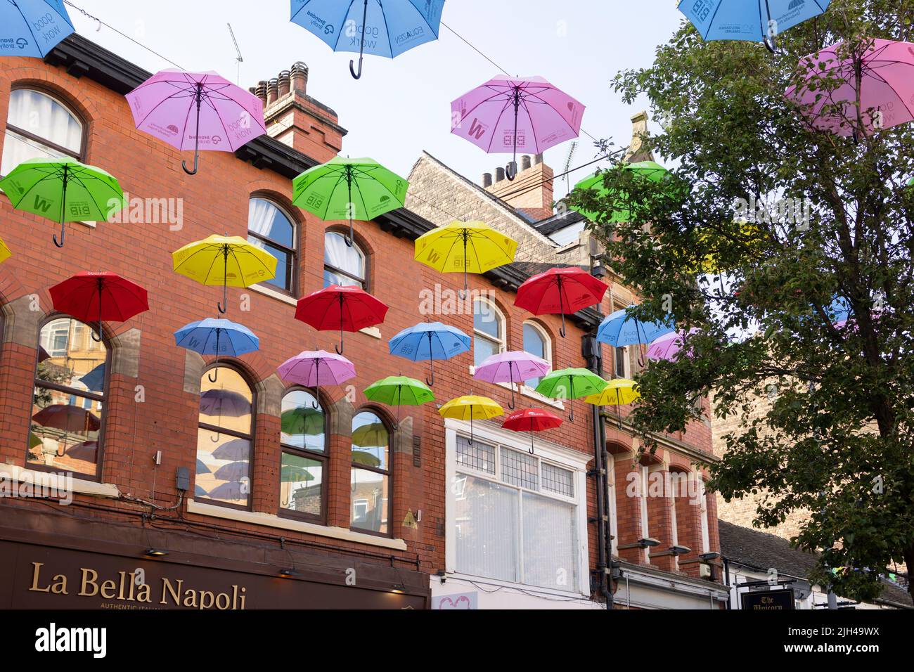 Neurodiversity umbrella project hi-res stock photography and images - Alamy