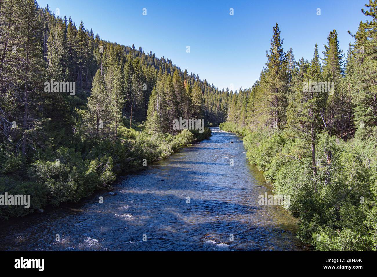 River flows through Northern California forest Stock Photo - Alamy