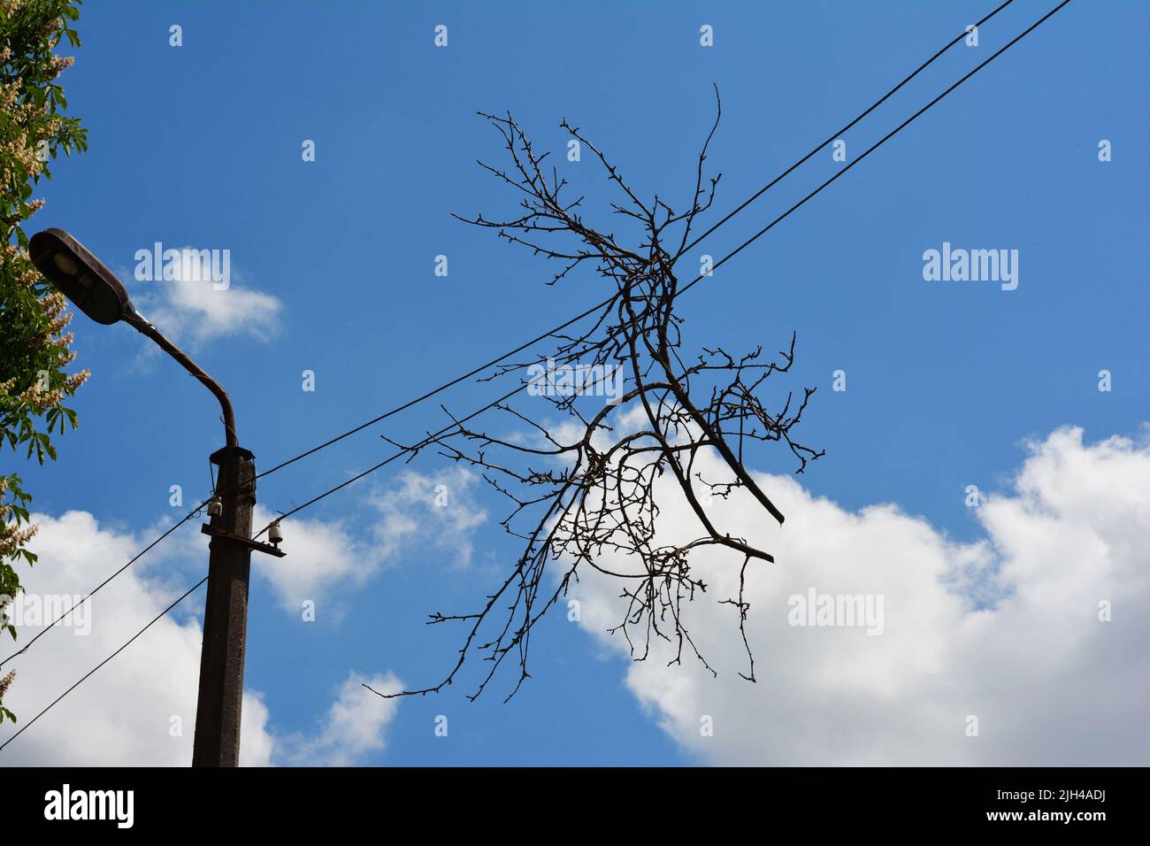Electric post power pole. Wire breakage after hurricane. Broken power ...