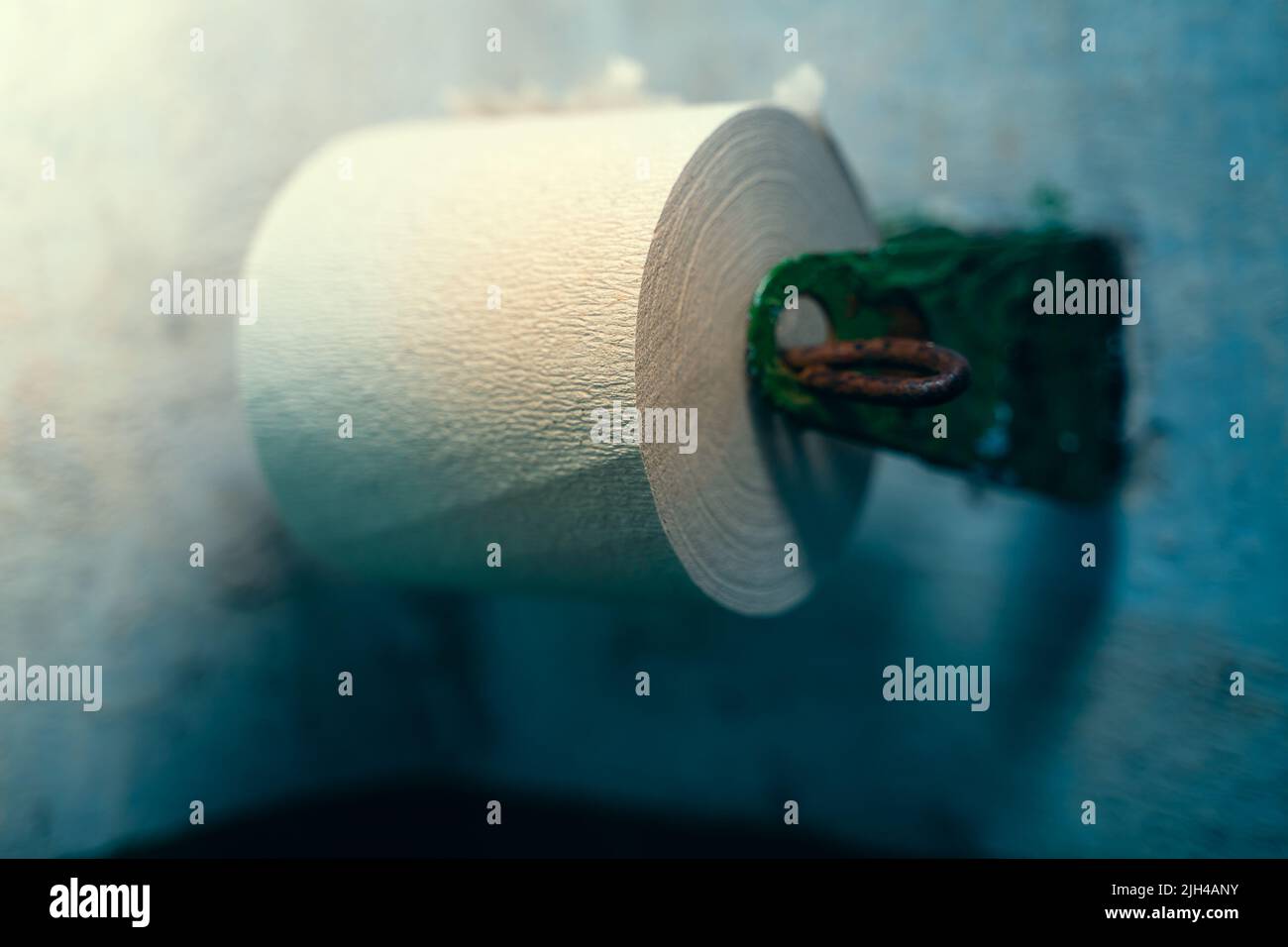 Toilet paper holder with cheap low quality single ply toilet paper ...