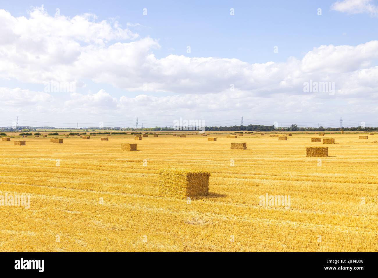 A large hay bail that has been harvested in a farmer's field, in the ...