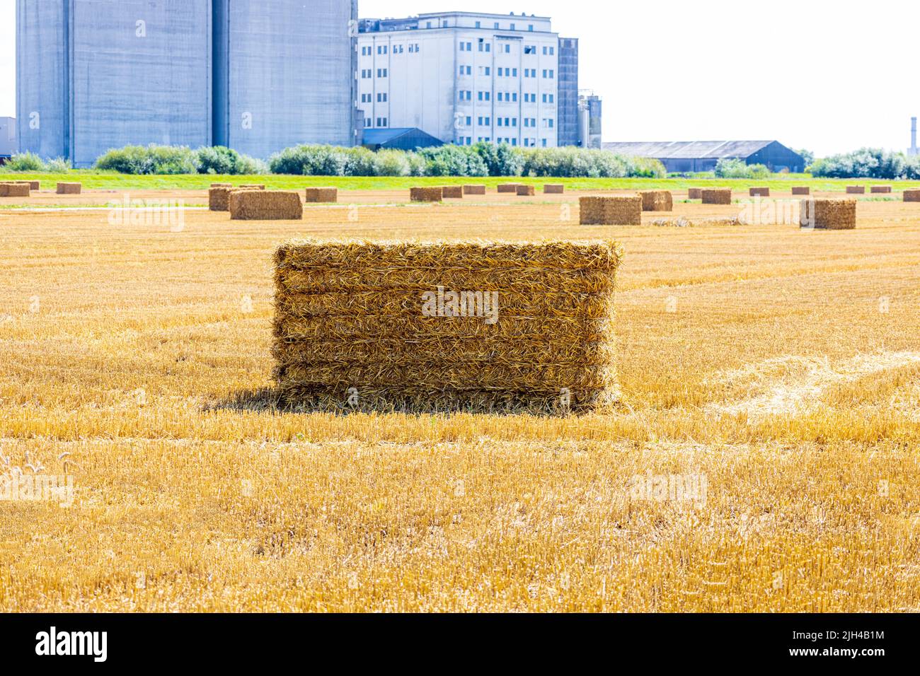 A large hay bail that has been harvested in a farmer's field, in the ...