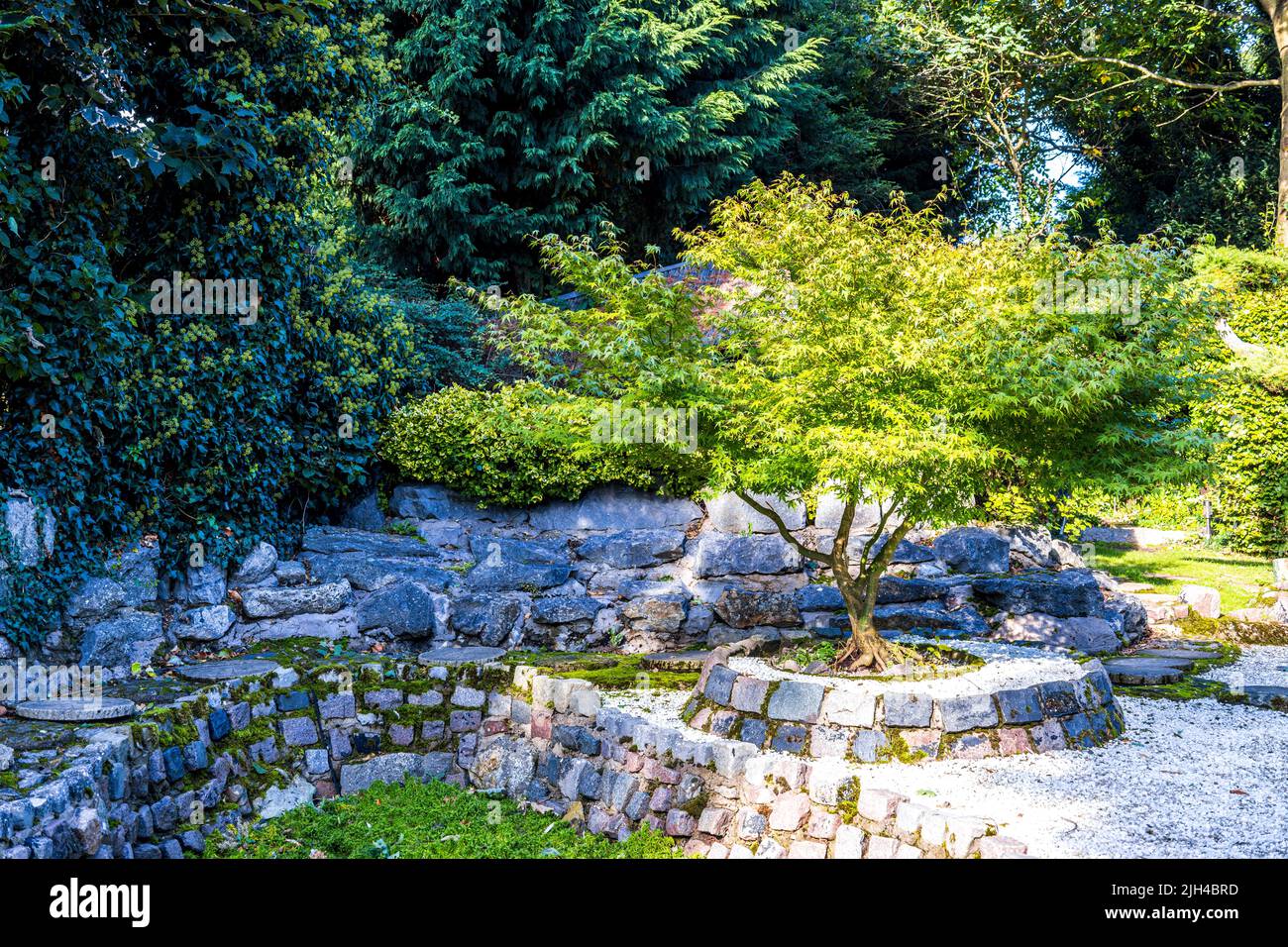 Beautiful trees in a Japanese style Zen garden to being harmony and ...