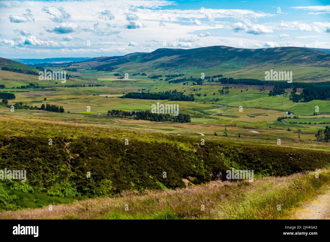 Clova hi-res stock photography and images - Alamy