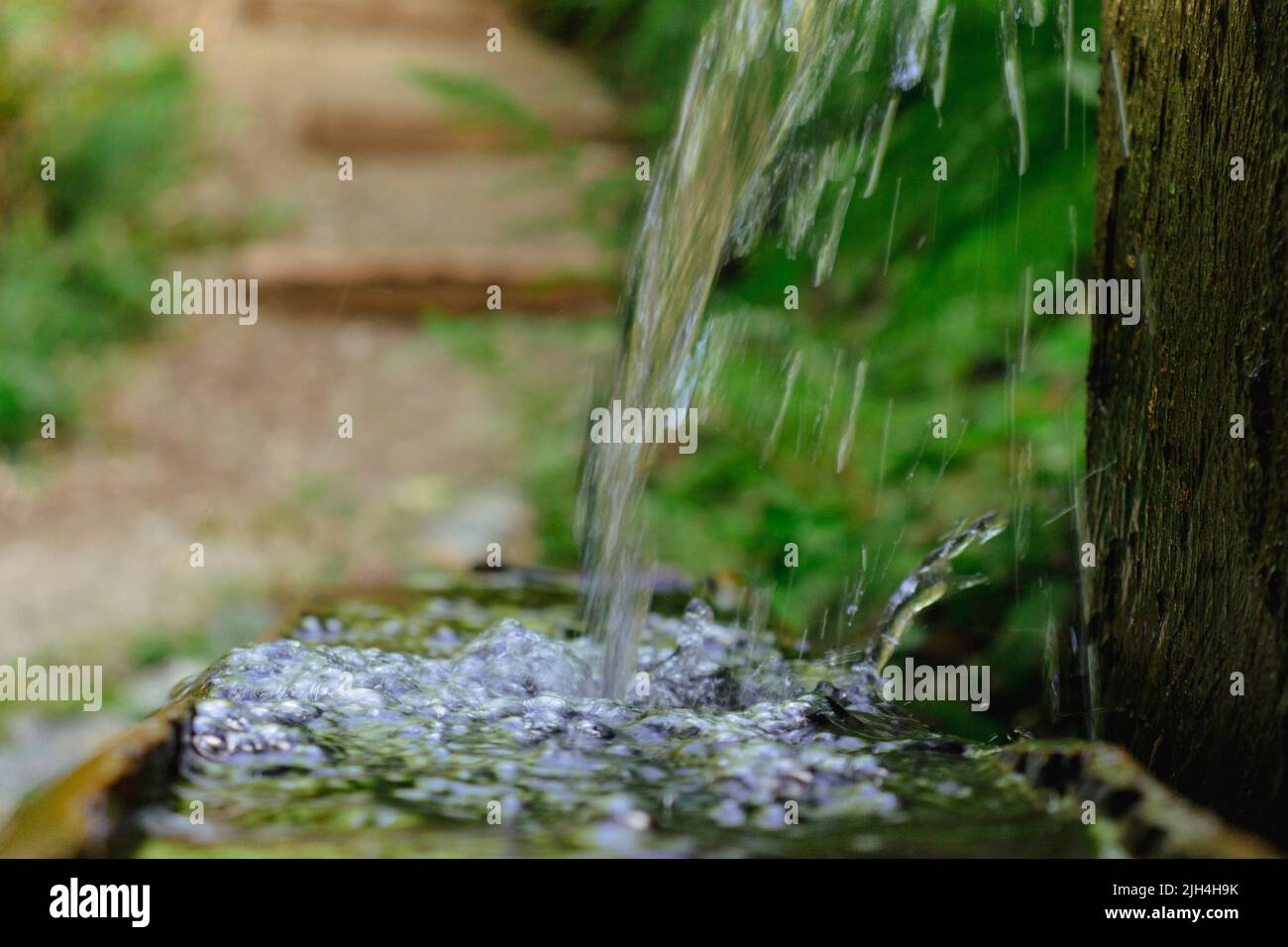 Close-up of water pouring and splashing down into a wooden tree trunk ...