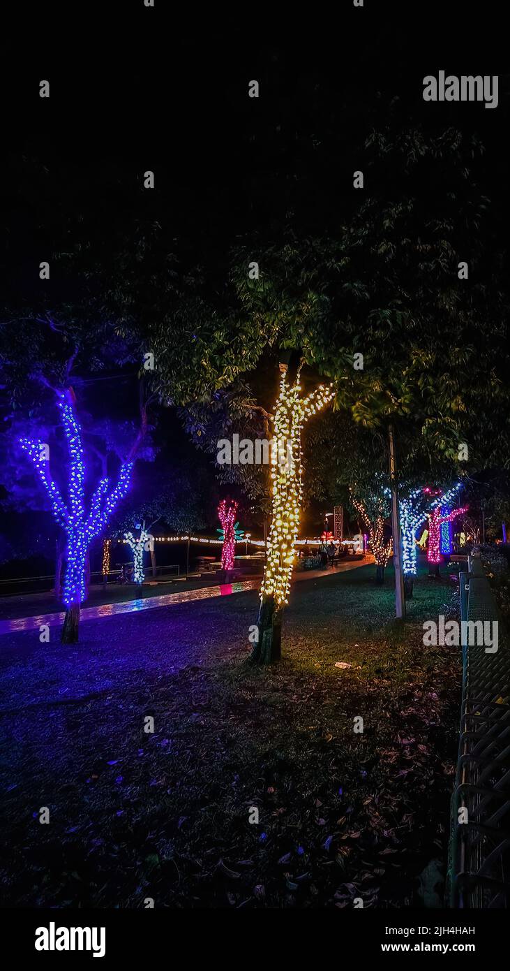 Wrapping outdoor trees with colourful LED string lights for decoration ...