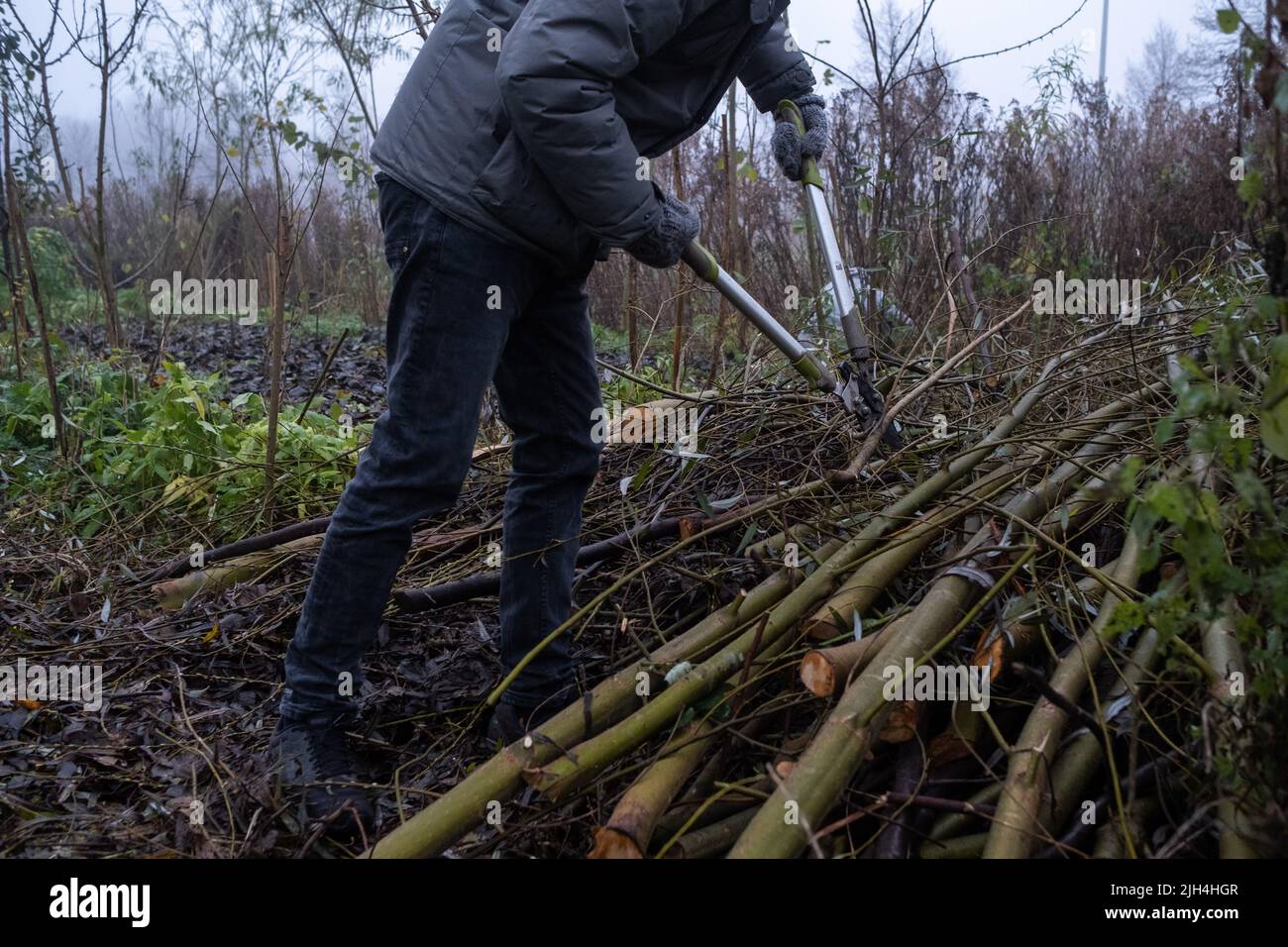 Report about shared gardens and urban agriculture in Amsterdam. Here, Anna's Tuin & Ruigte which ...