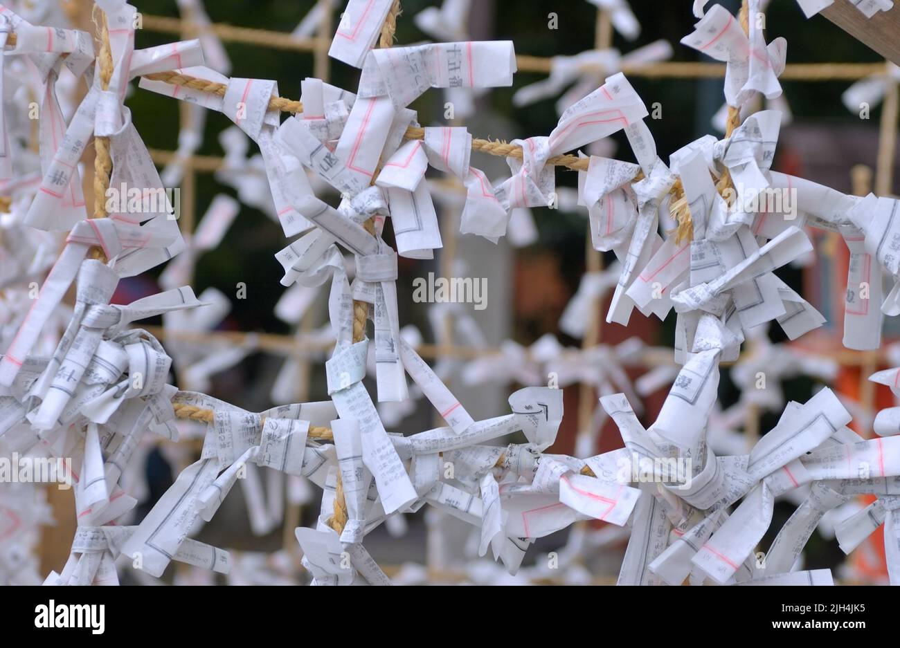 The majestic Hongwan-ji Temple, Kyoto JP Stock Photo - Alamy