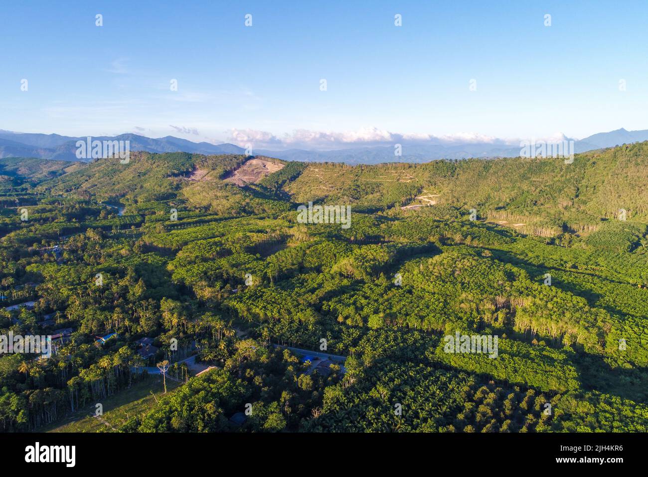 Aerial view green tropical rain forest sunny day nature landscape blue ...