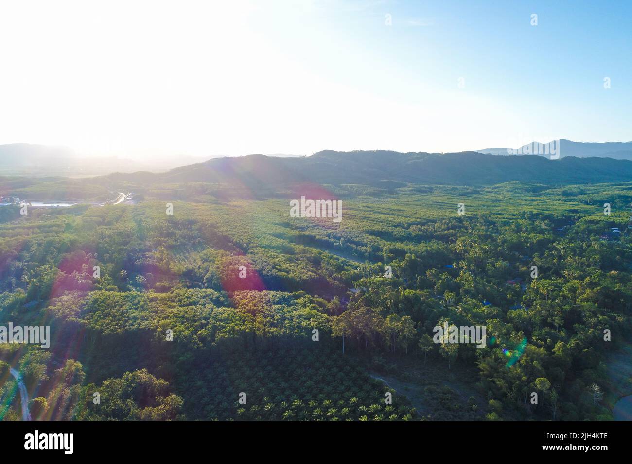 Aerial view green tropical rain forest sunny day nature landscape blue ...