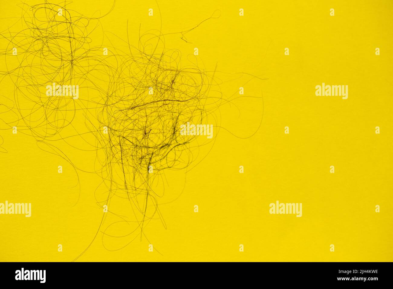 Fallen hair on the yellow background. Baldness problem Stock Photo - Alamy
