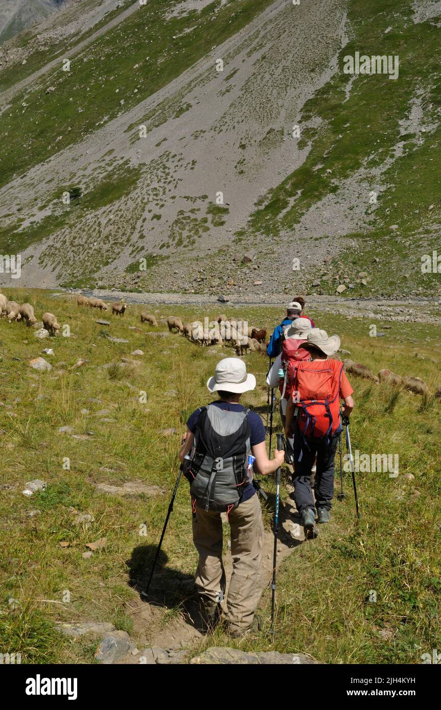 Group hikers trek along hi-res stock photography and images - Alamy