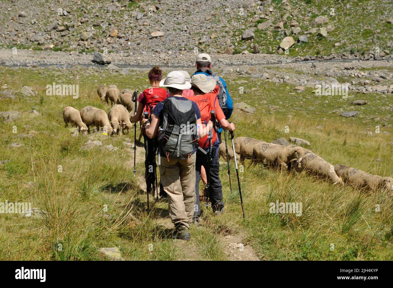 Group hikers trek along hi-res stock photography and images - Alamy