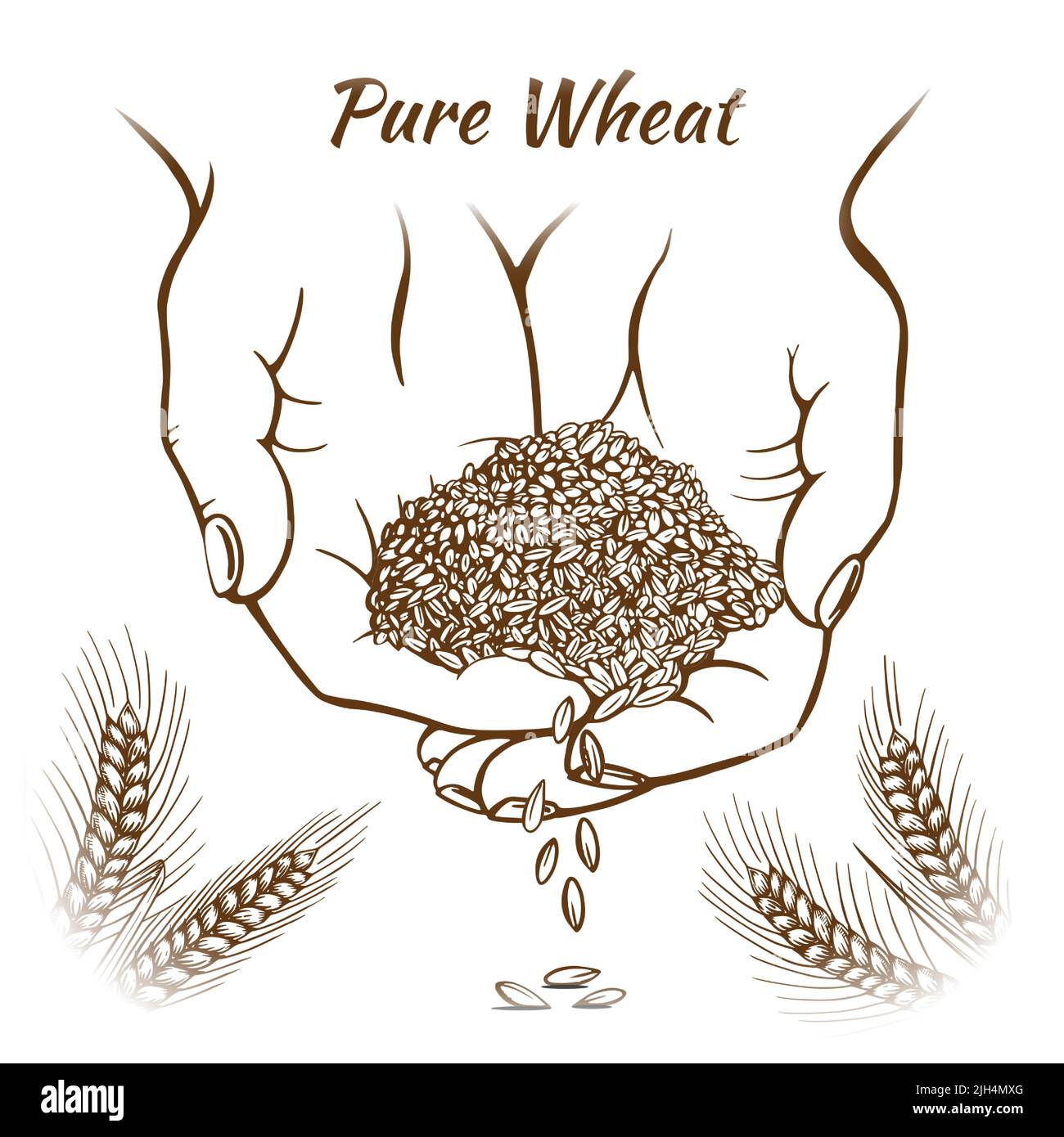 wheat grains human palms sketch vector EPS 10 Stock Vector Image & Art ...