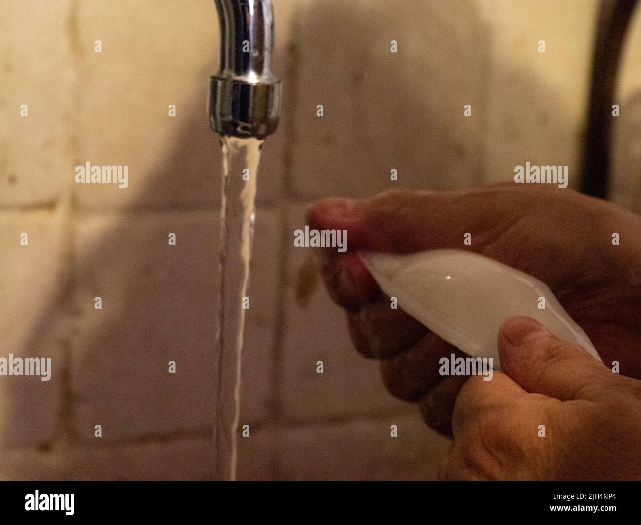 cleaning a raw adriatic cuttlefish at home in Numana, Marche, Italy ...