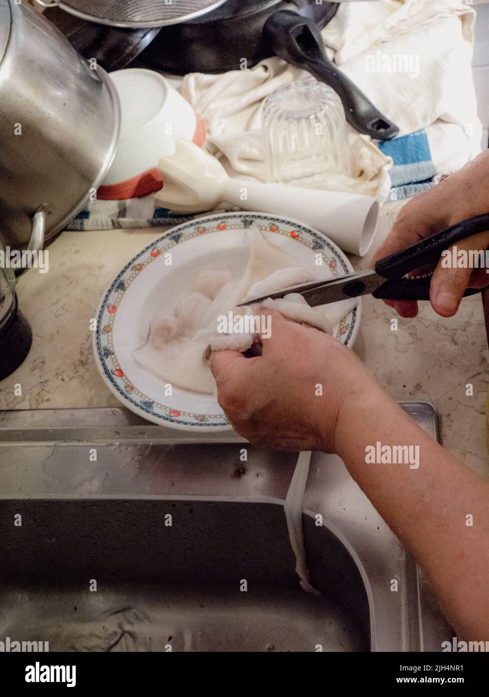cleaning a raw adriatic cuttlefish at home in Numana, Marche, Italy ...