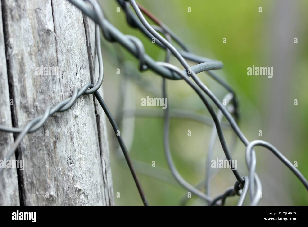 wire mesh tied to tree in farm Stock Photo - Alamy