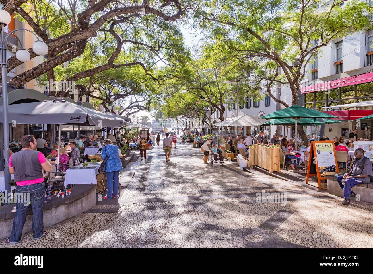 downtown, Madeira, Funchal Stock Photo - Alamy