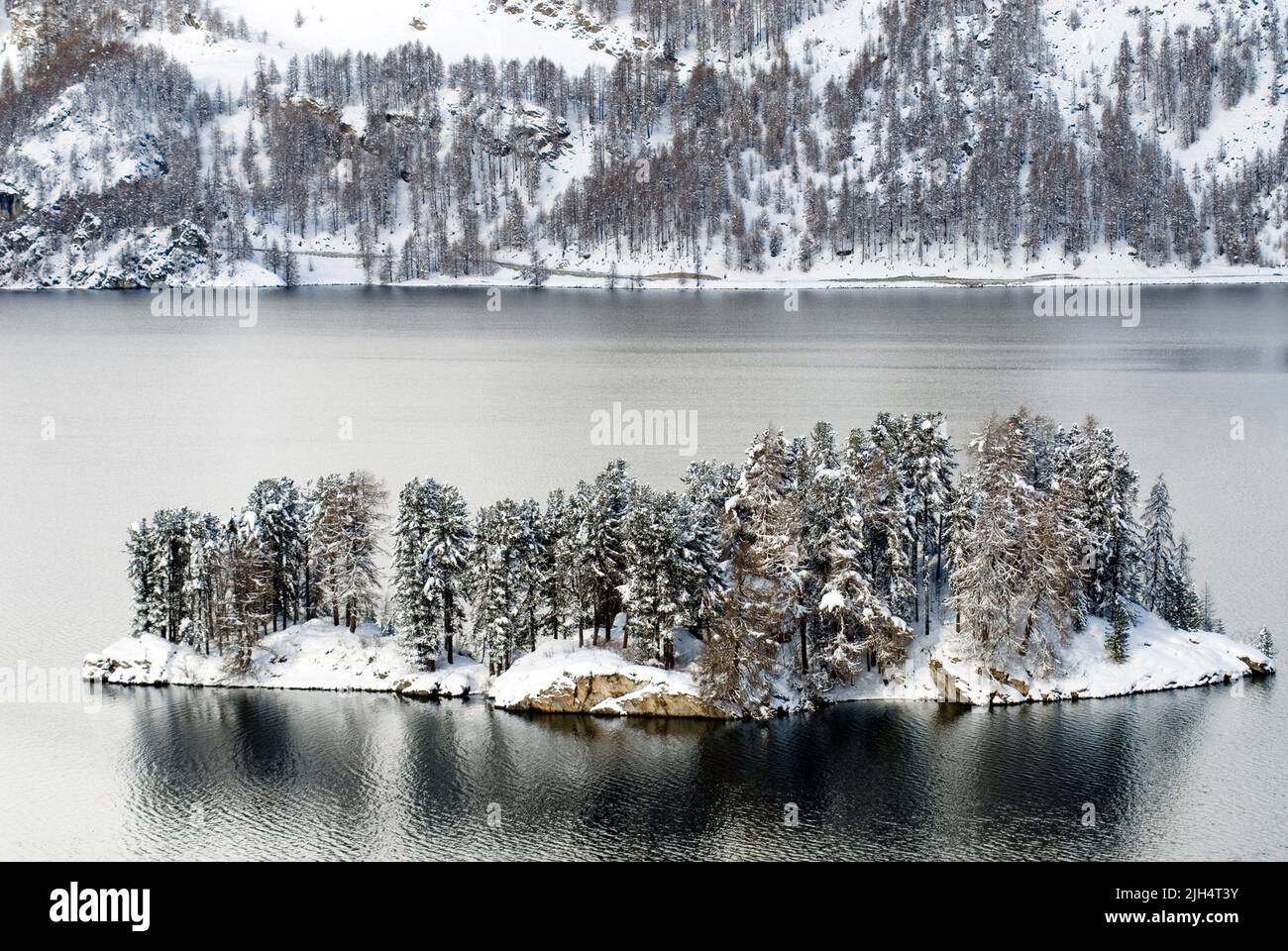 winter mountain landscape and small island in the lake Sils ...