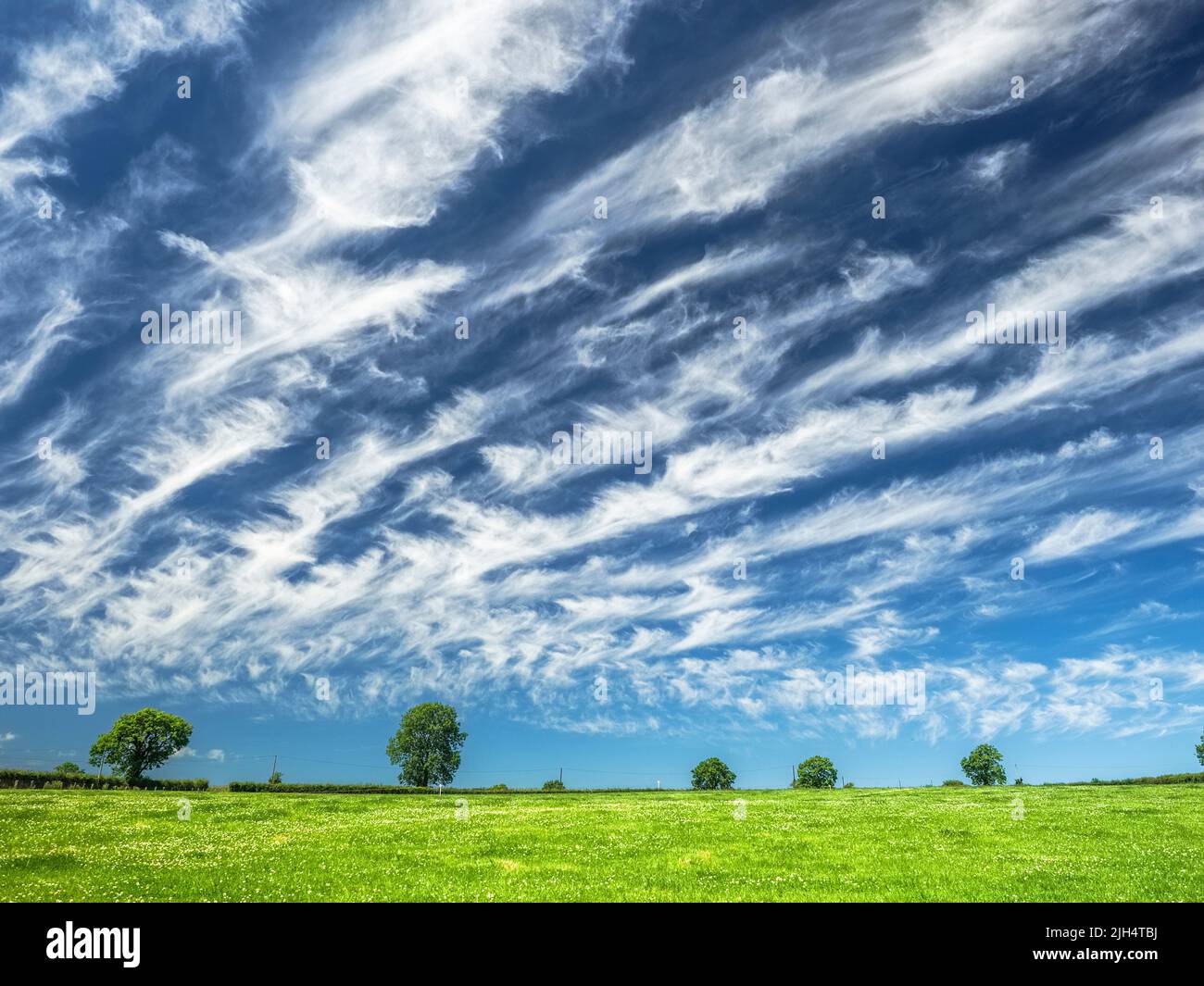Cirrus cloud formation over farm field in Pembrokeshire, Wales Stock ...