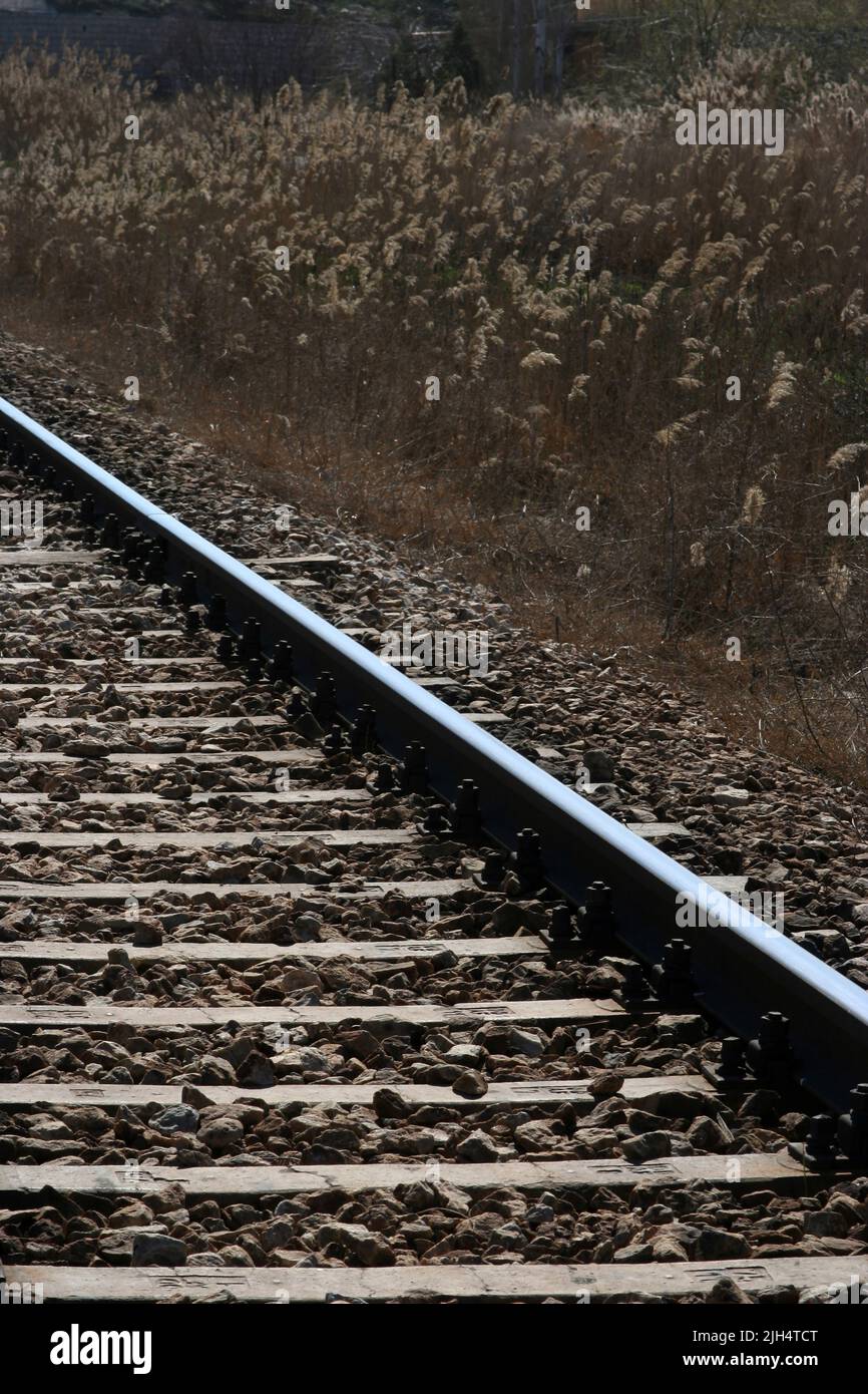 railway lines in nature with meadows Stock Photo - Alamy