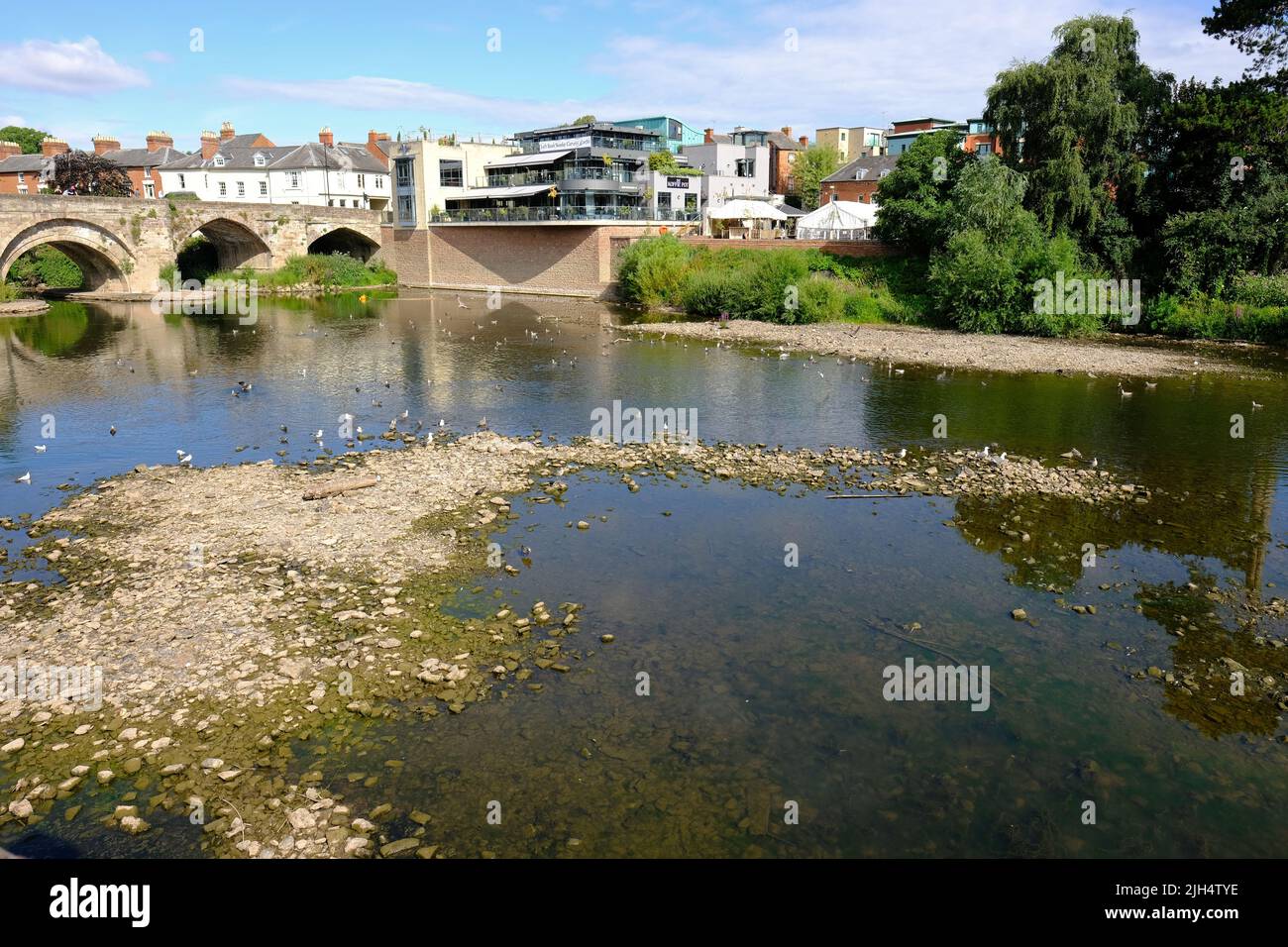 Algae blooms hi-res stock photography and images - Alamy