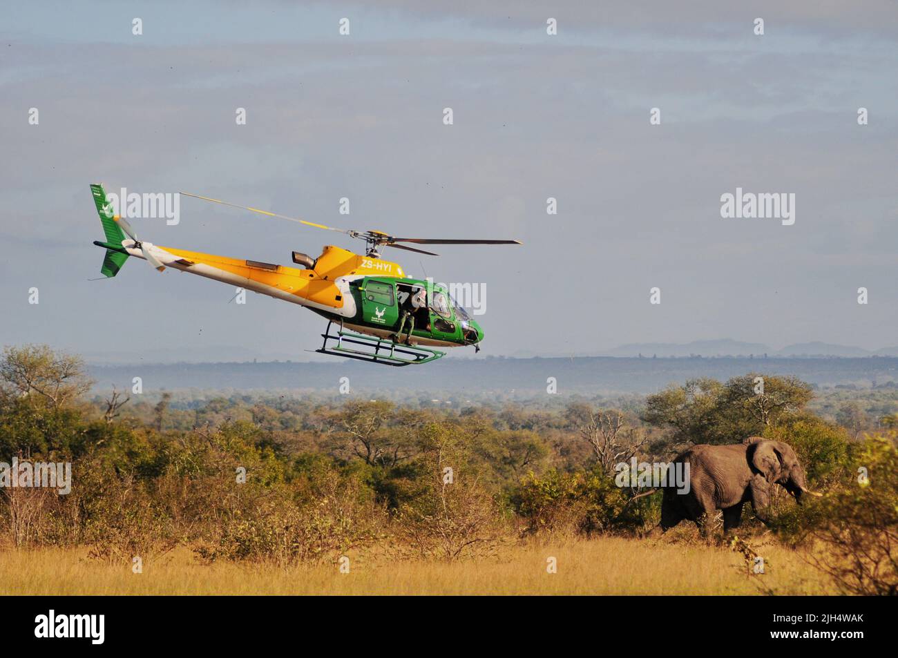 The SA National Parks conducts regular testing for the presence of the ...