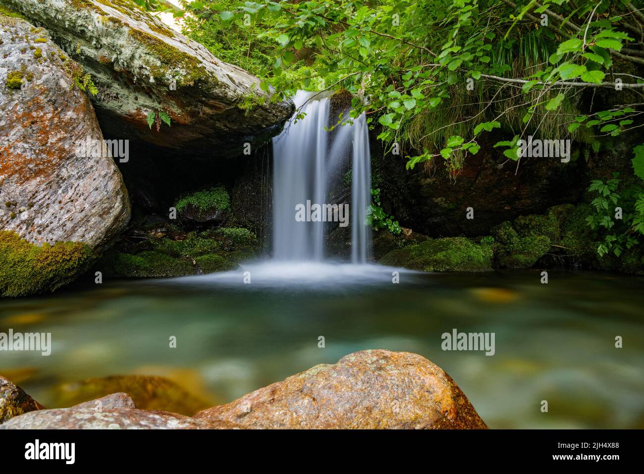 Termeszetfoto hi-res stock photography and images - Alamy