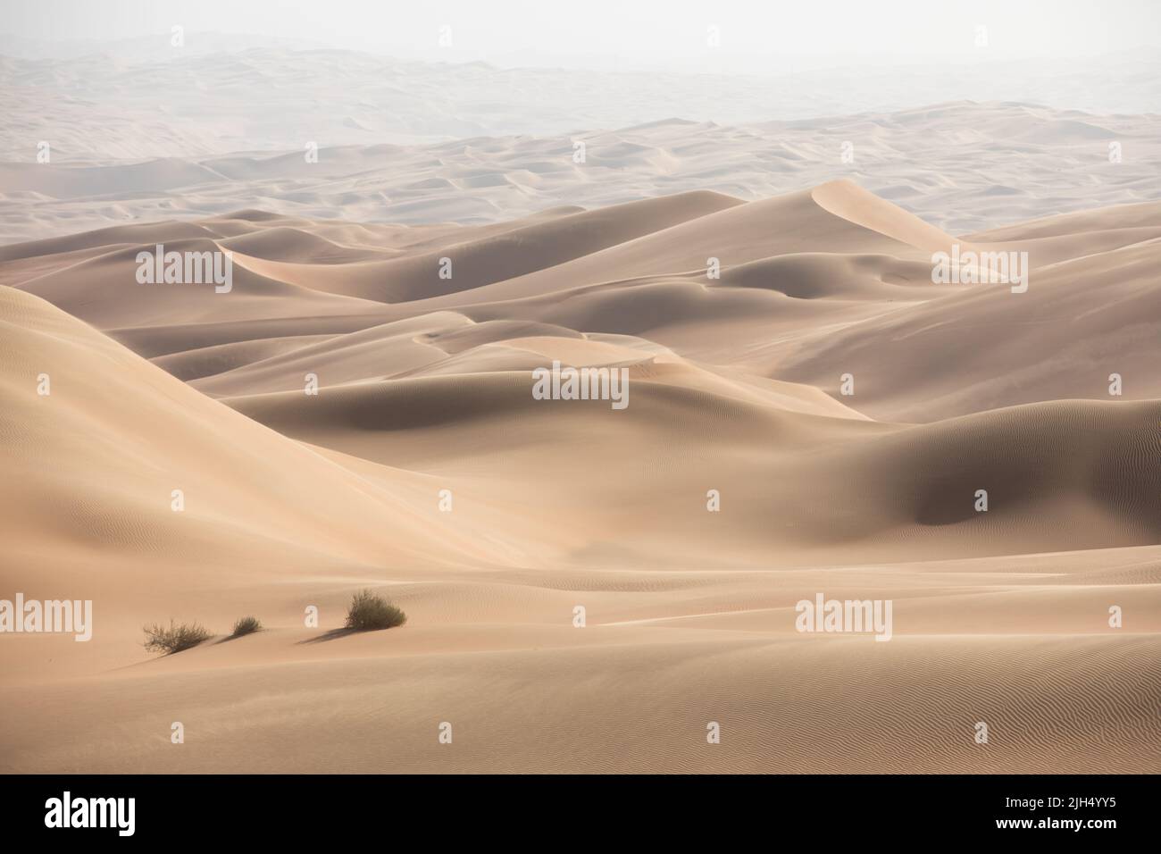 Desert landscape with sand dunes in morning light Stock Photo - Alamy