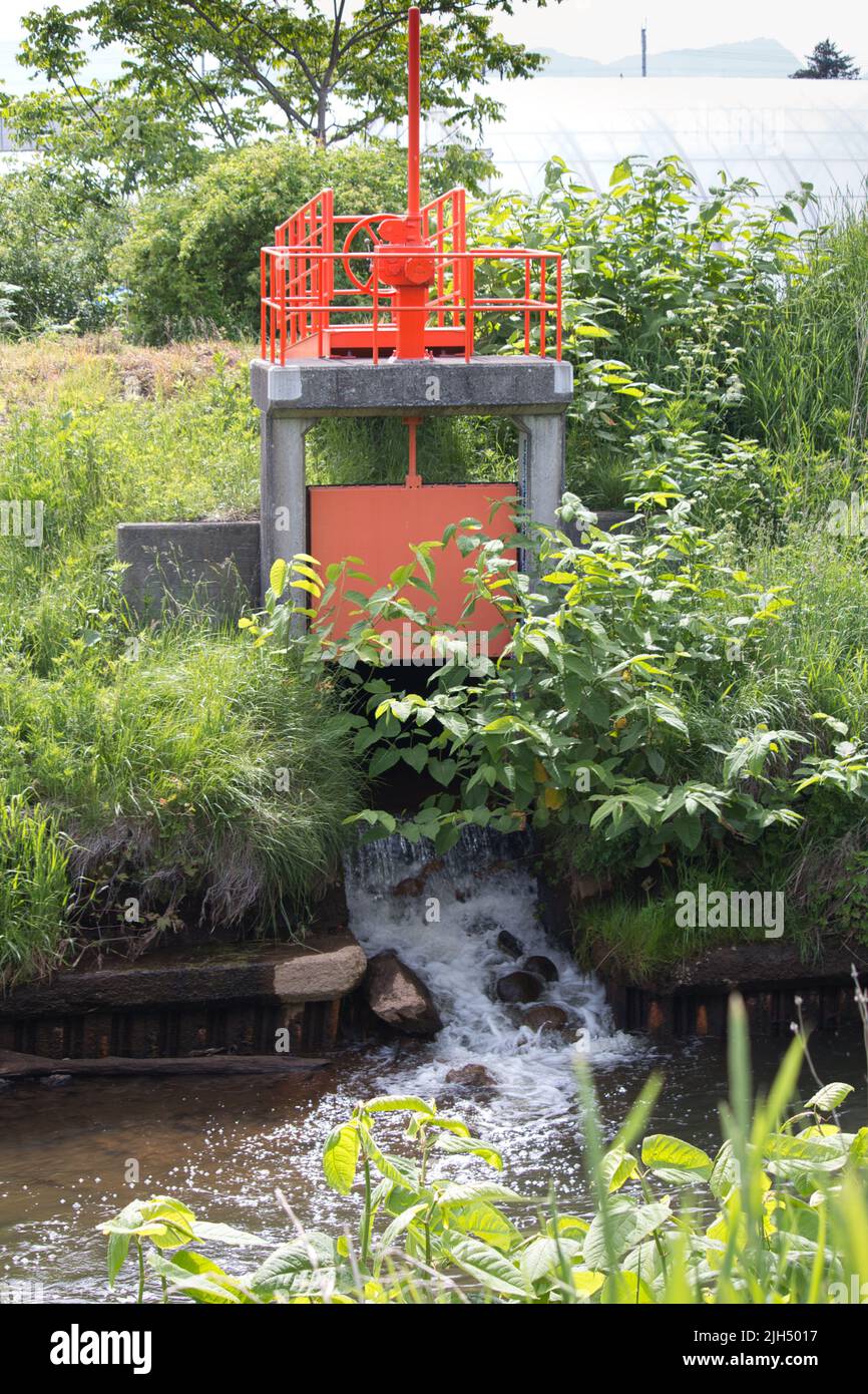 Agriculture rice paddy irrigation water hi-res stock photography and ...