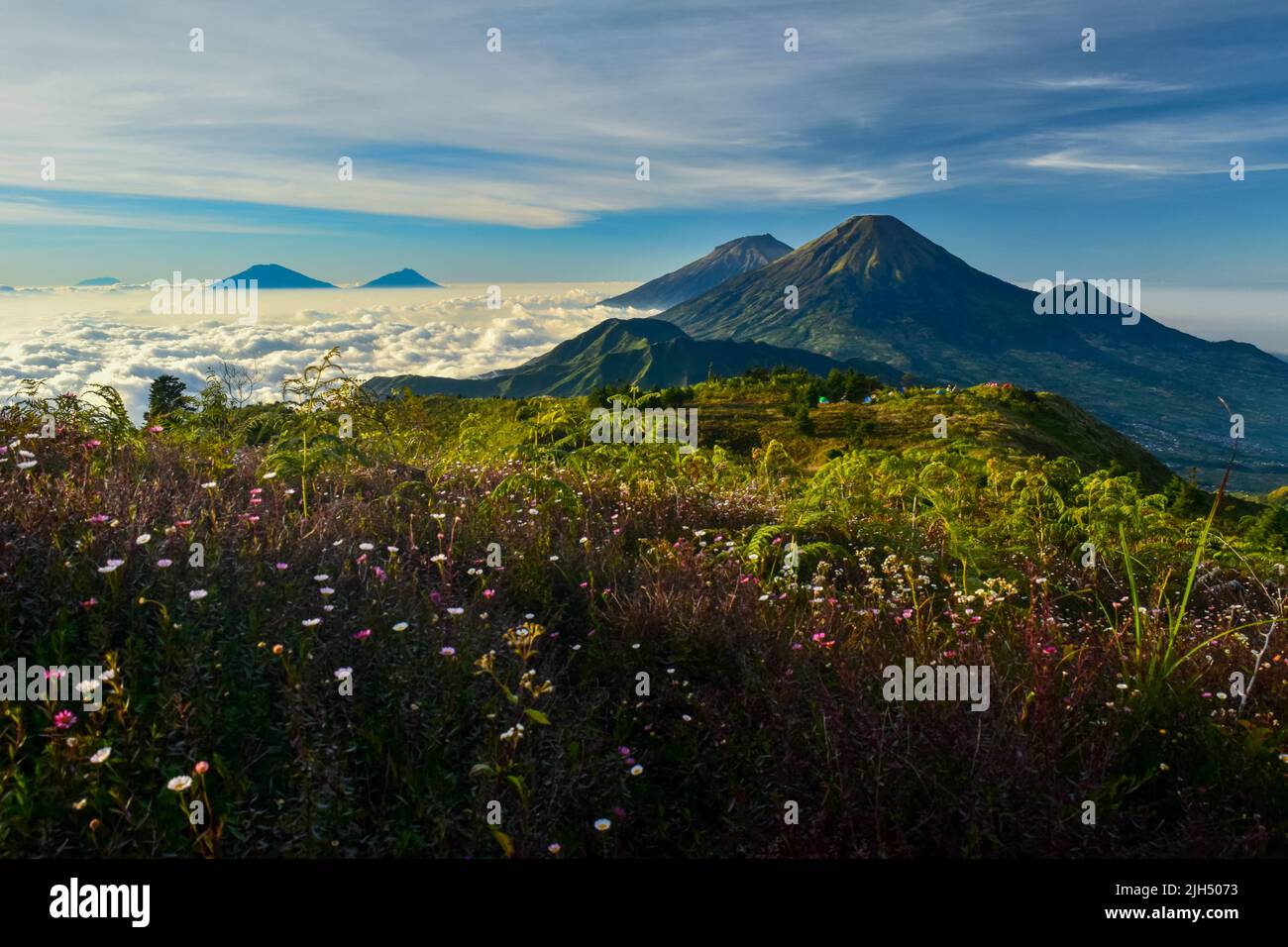 view from Mount Prau, Central Java, Indonesia. Mount Prau also known as ...