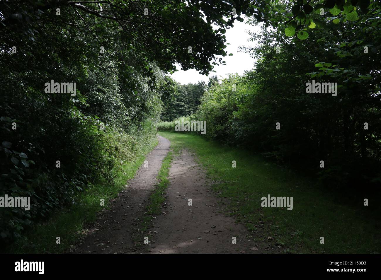 Country lane on a late summer afternoon Stock Photo - Alamy