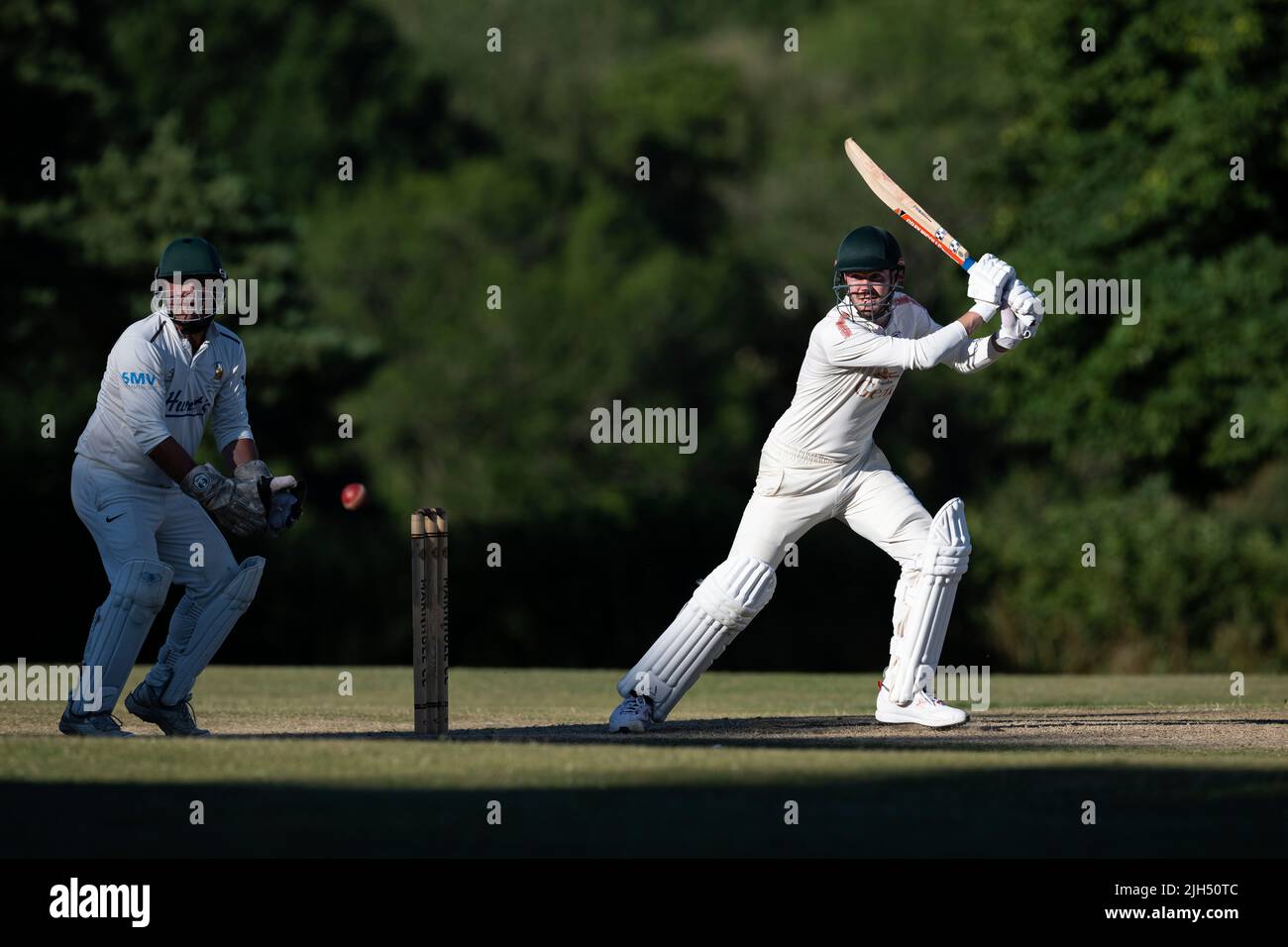 Cricket batter in action Stock Photo - Alamy