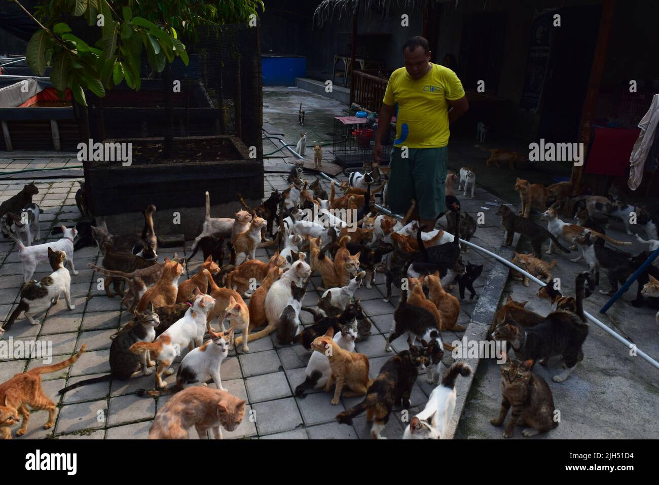 Parung indonesia hi-res stock photography and images - Alamy
