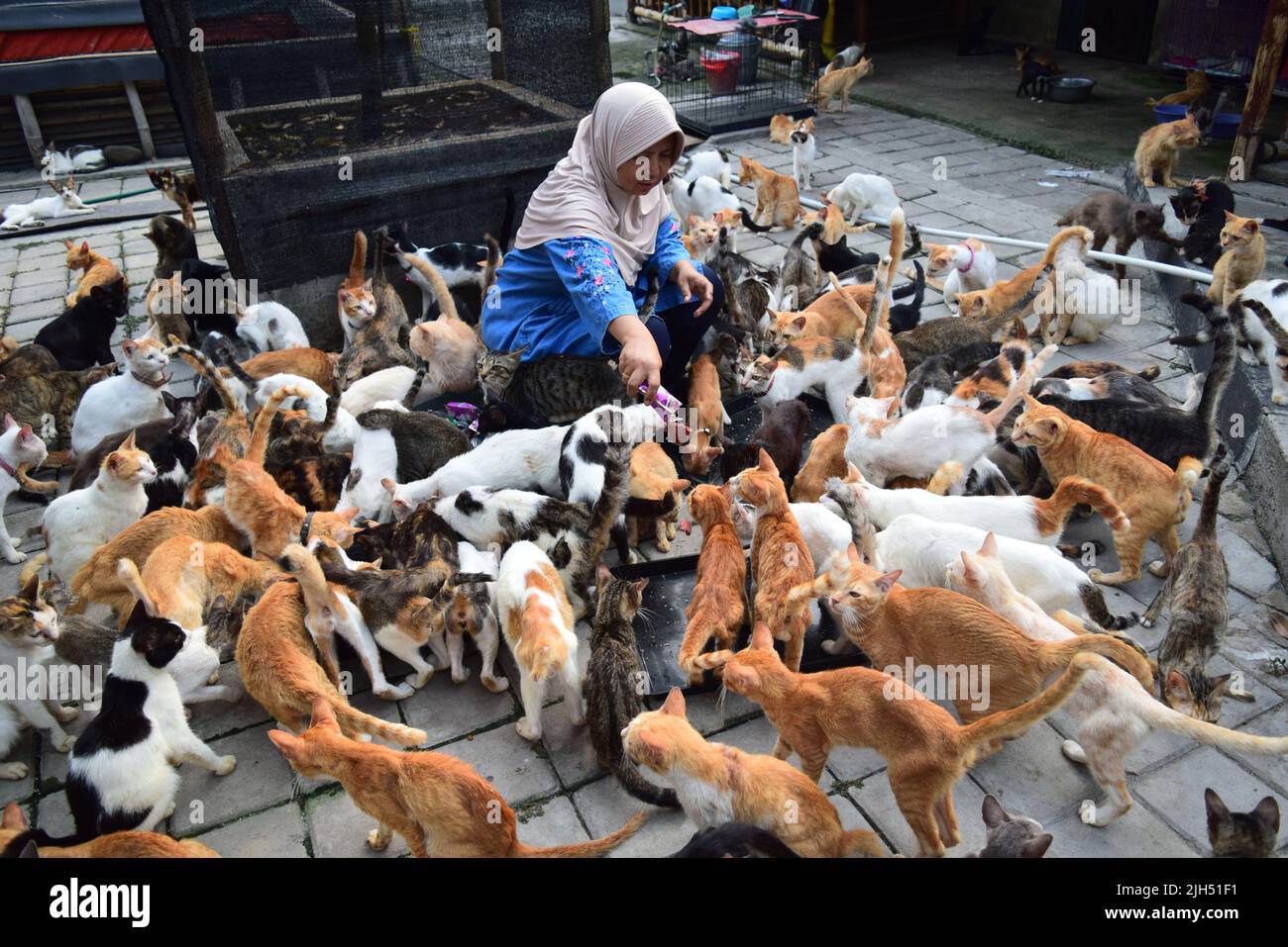 Parung indonesia hi-res stock photography and images - Alamy