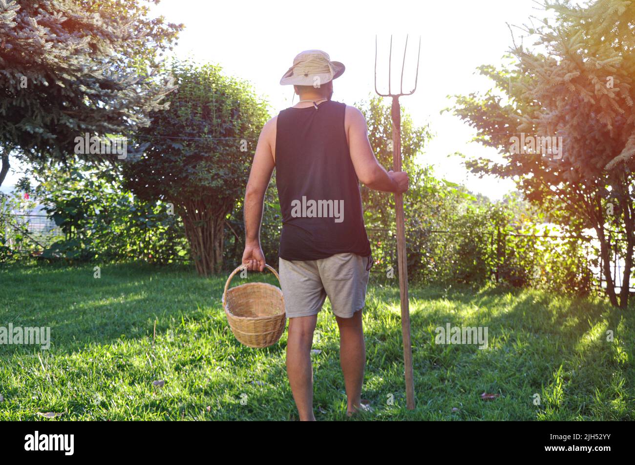 A young farmer walks through her field with a fork. The concept of ...
