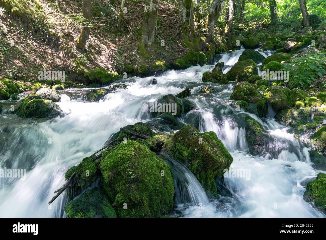 Cascades of Bukovica river in Montenegro at sunny summer day Stock ...