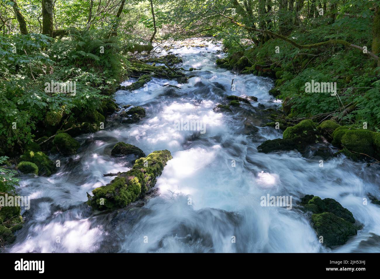 Cascades of Bukovica river in Montenegro at sunny summer day Stock ...