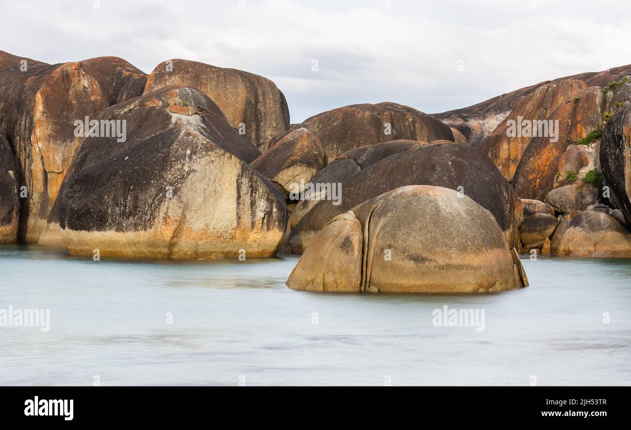 Rocks looking a bit like a herd of elephants paddling in the shallows ...