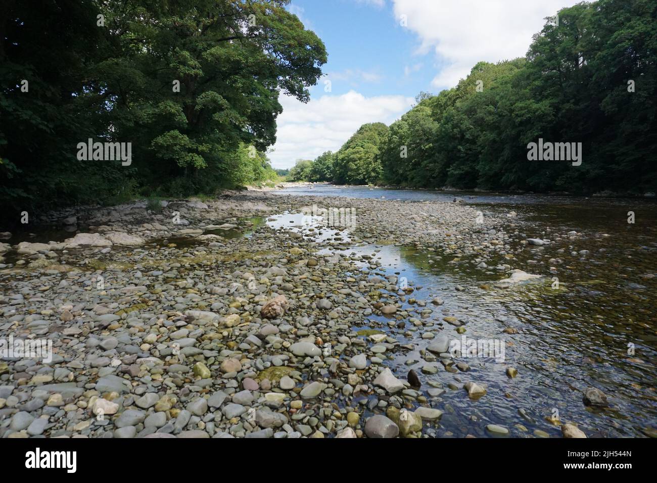 River lune sunny hi-res stock photography and images - Alamy