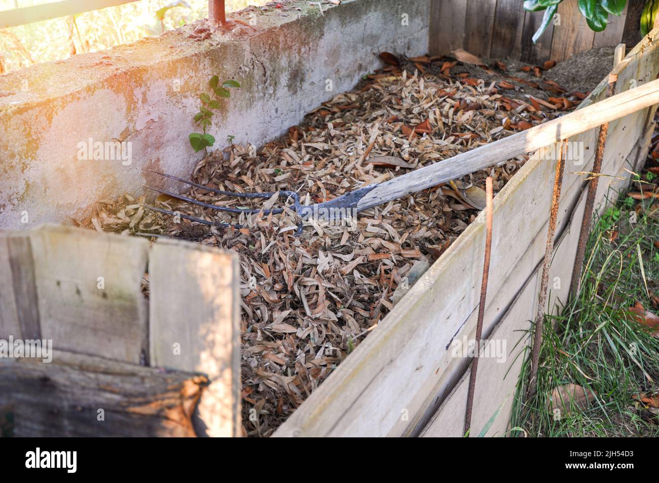 Composting of cut grass and fallen leaves to enrich soil. Leaf mulch ...