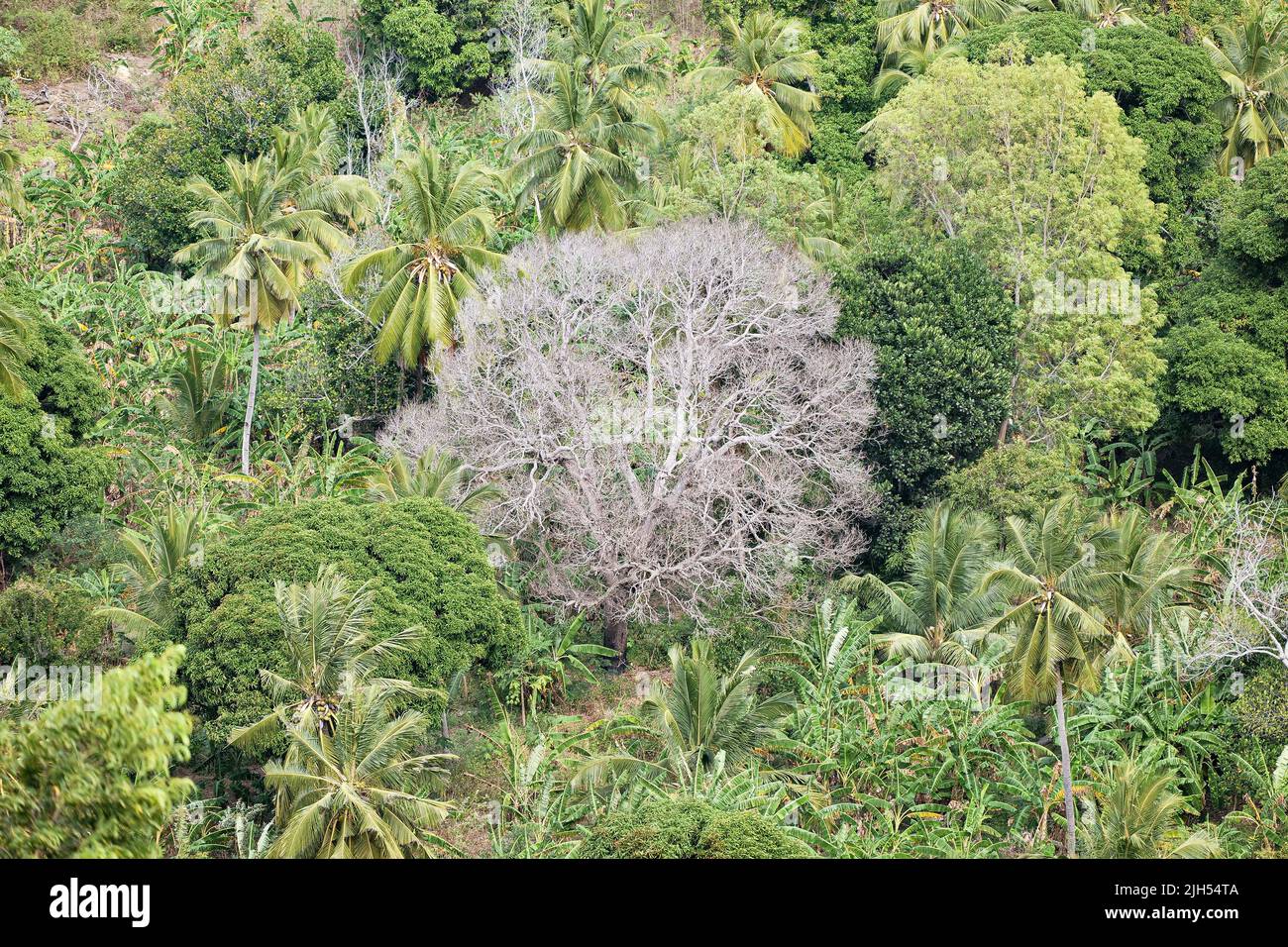Moyà Beach moment between hike at Dziani lake, surfing at Moyà beach 2 ...
