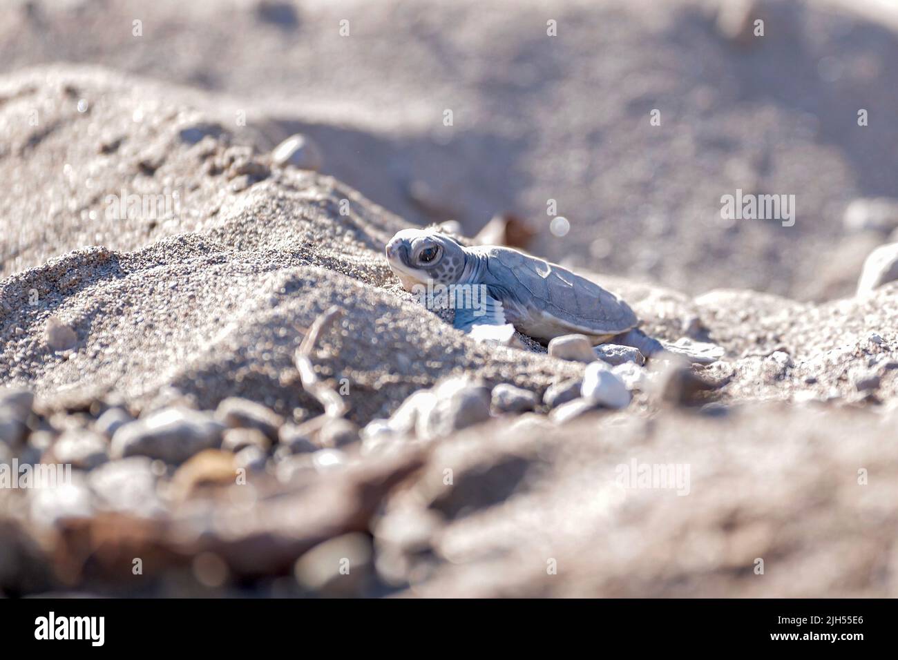Moyà Beach moment between hike at Dziani lake, surfing at Moyà beach 2 ...